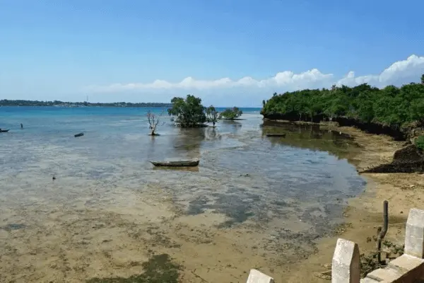Wasini Island Location Guide – Where is Wasini Island in Kenya?